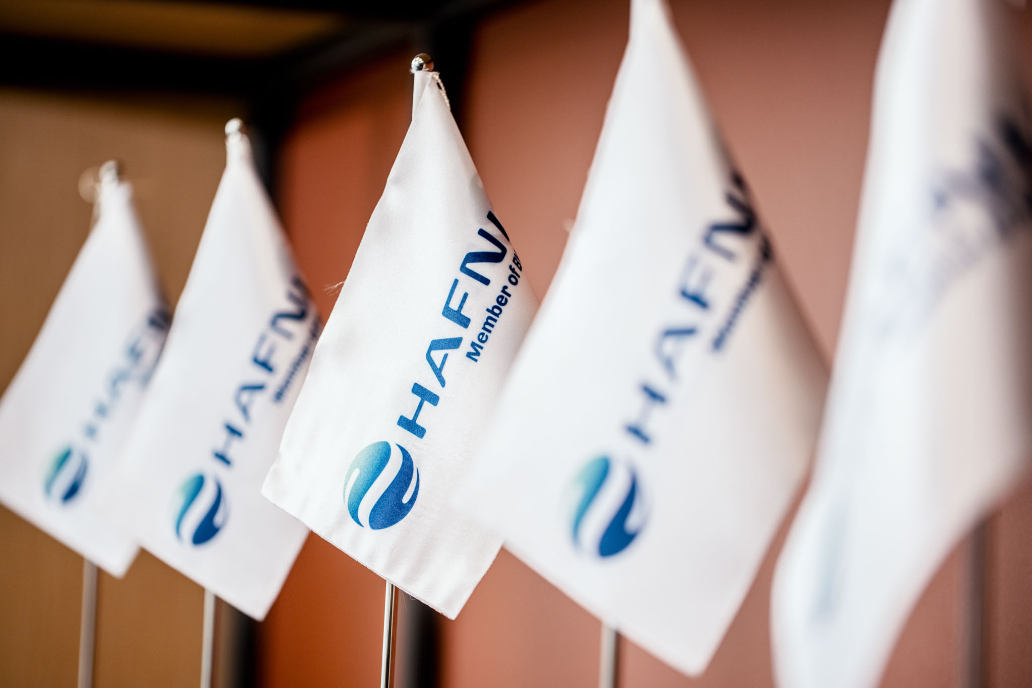 Pankaj Porwal: Panel Speaker at Maritime Decarbonization Conference ...